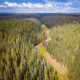 Forest Lakes Real Estate - Teri Meacham - West USA Realty